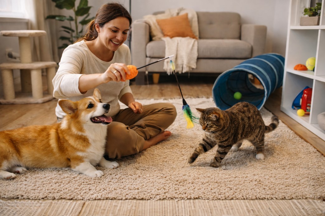 Keeping Your Pets Active Indoors: Exercise Tips for Small Living Spaces
